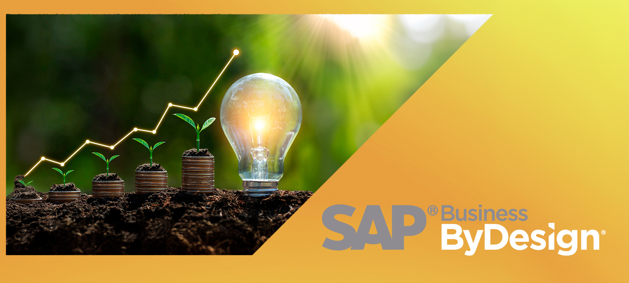 SAP Business ByDesign